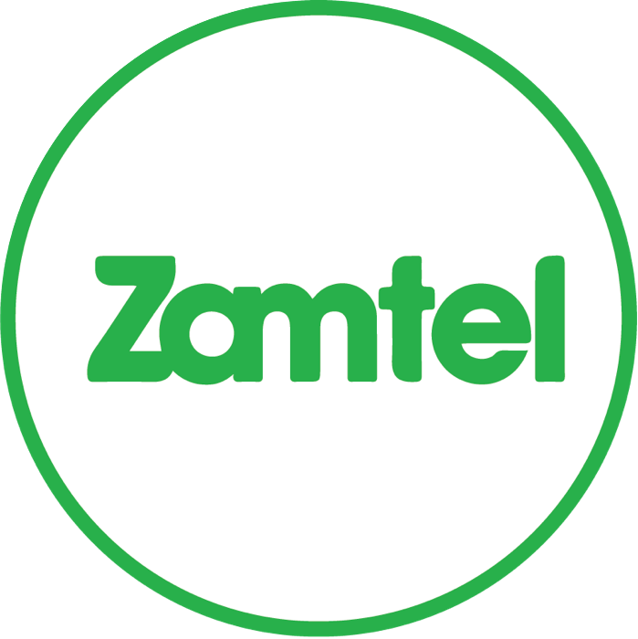 Zamtel | Come Home